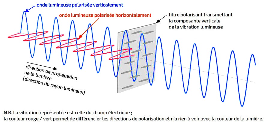 La polarisation de la lumière (Mainguet Jean-François)