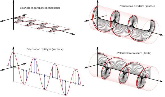 La polarisation de la lumière (Mainguet Jean-François)